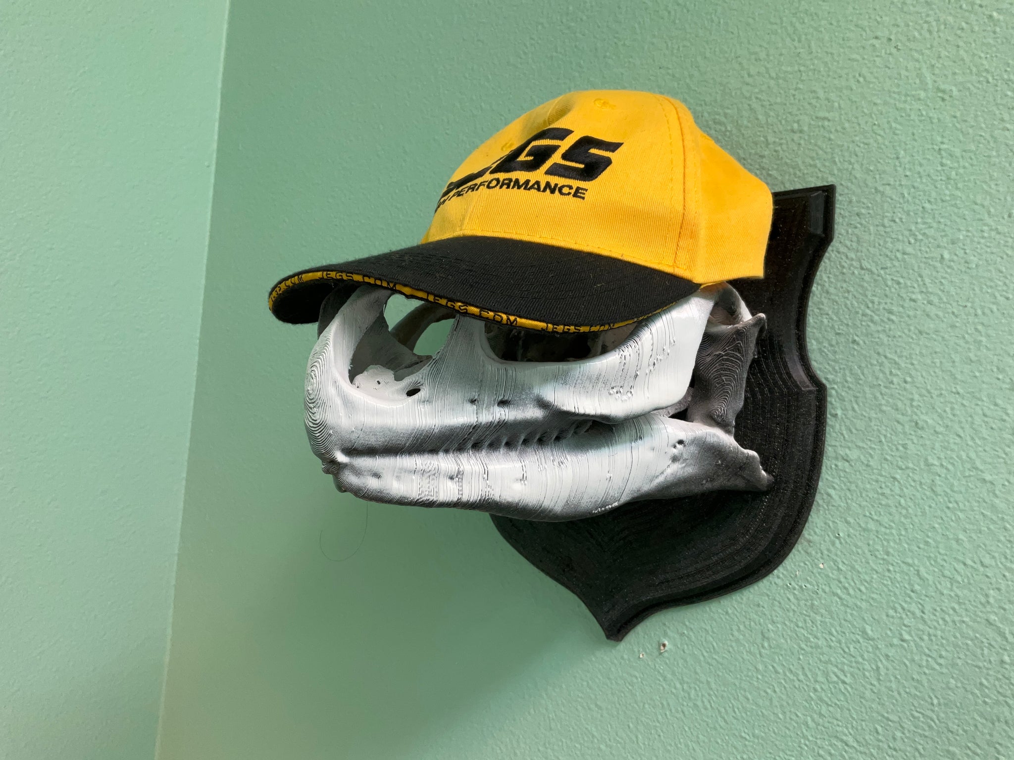 Uromastyx Lizard Skull Wall Hanger! Pet Lizard Stand like Bearded ...